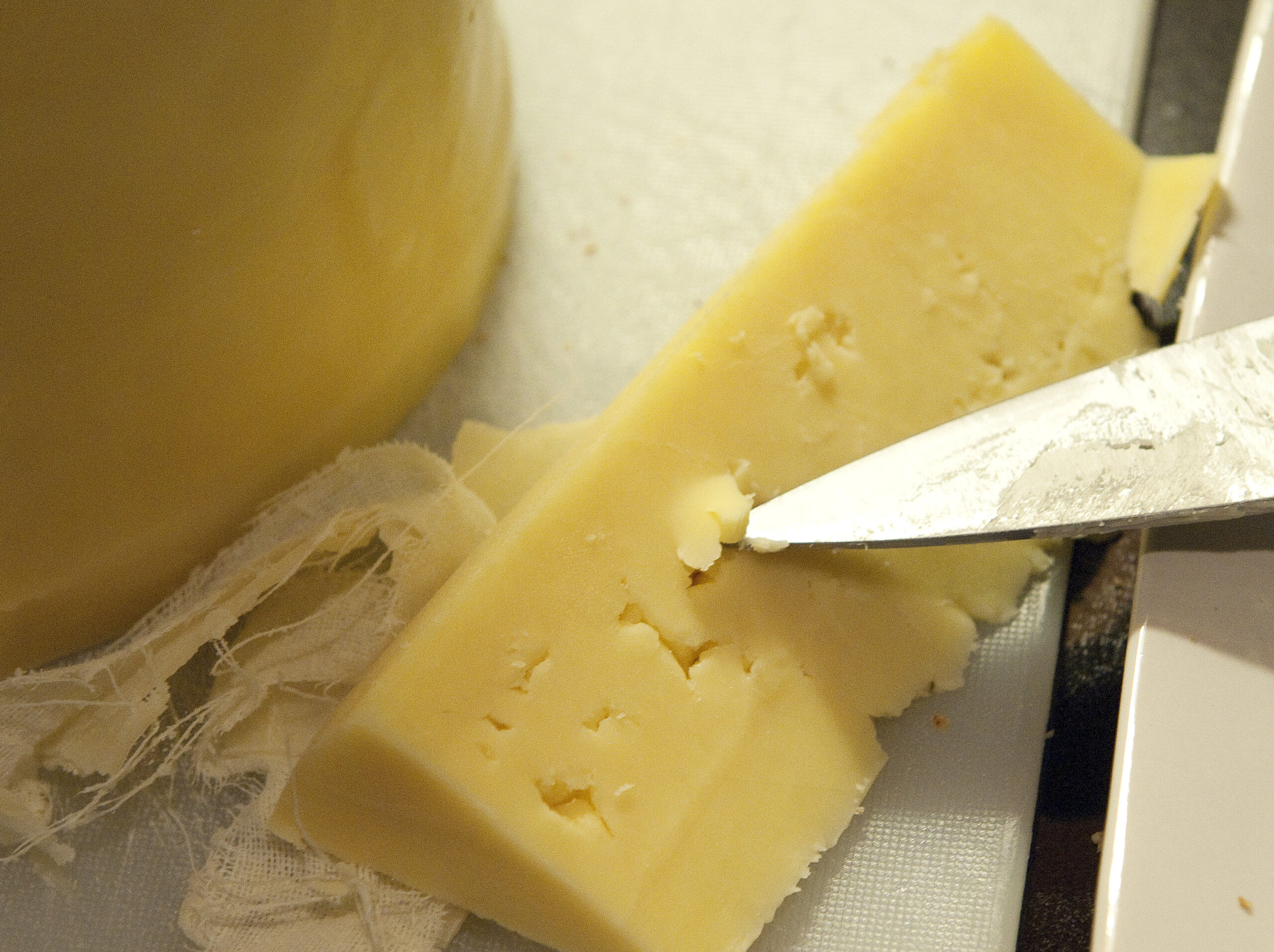 Hard Cheeses at Home, Plus 2 Soft Cheese Recipes - Grit